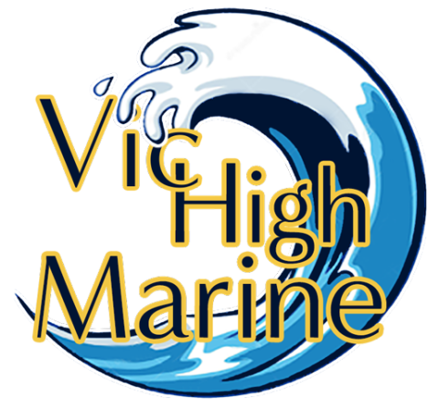 Cross Jellyfish - vic high